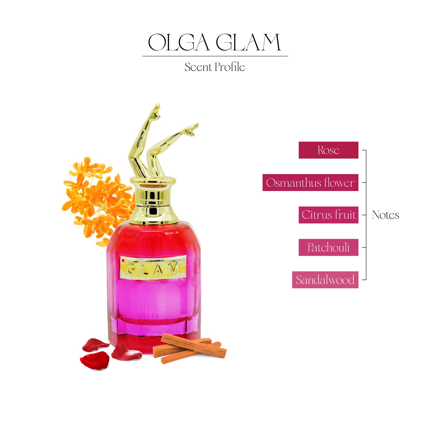 Glam Perfume for Women by Olga - Sophisticated & Chic – Olga Perfume